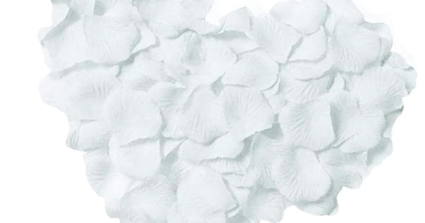 Yapay Beyaz Gül Yaprakları 144 Adet - balonsiparis.com